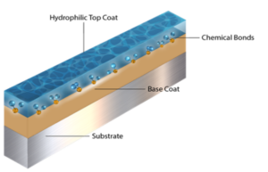 The Biocoat Glossary – Everything You Need to Know About Hydrophilic ...