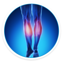 Peripheral Vascular - Biocoat Incorporated