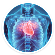 Coatings for Cardiovascular Devices by Biocoat