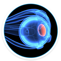 Ophthalmology - Biocoat Incorporated